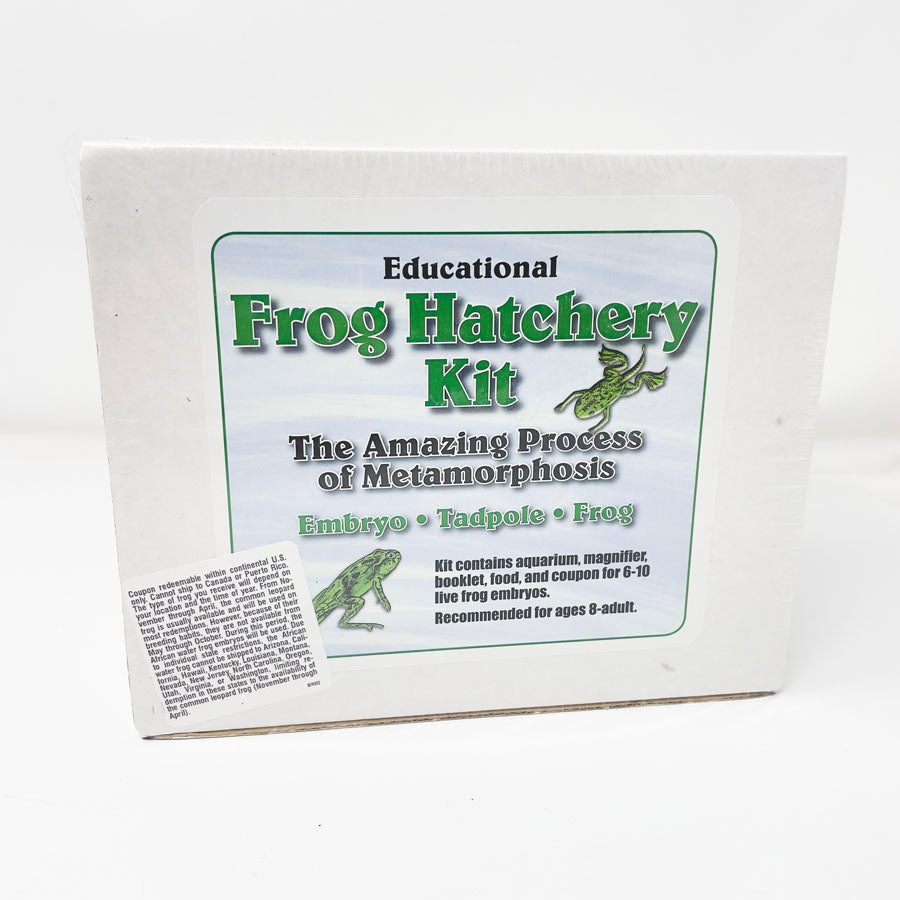 Educational Frog Hatchery Kit – Hello Art Hatchery