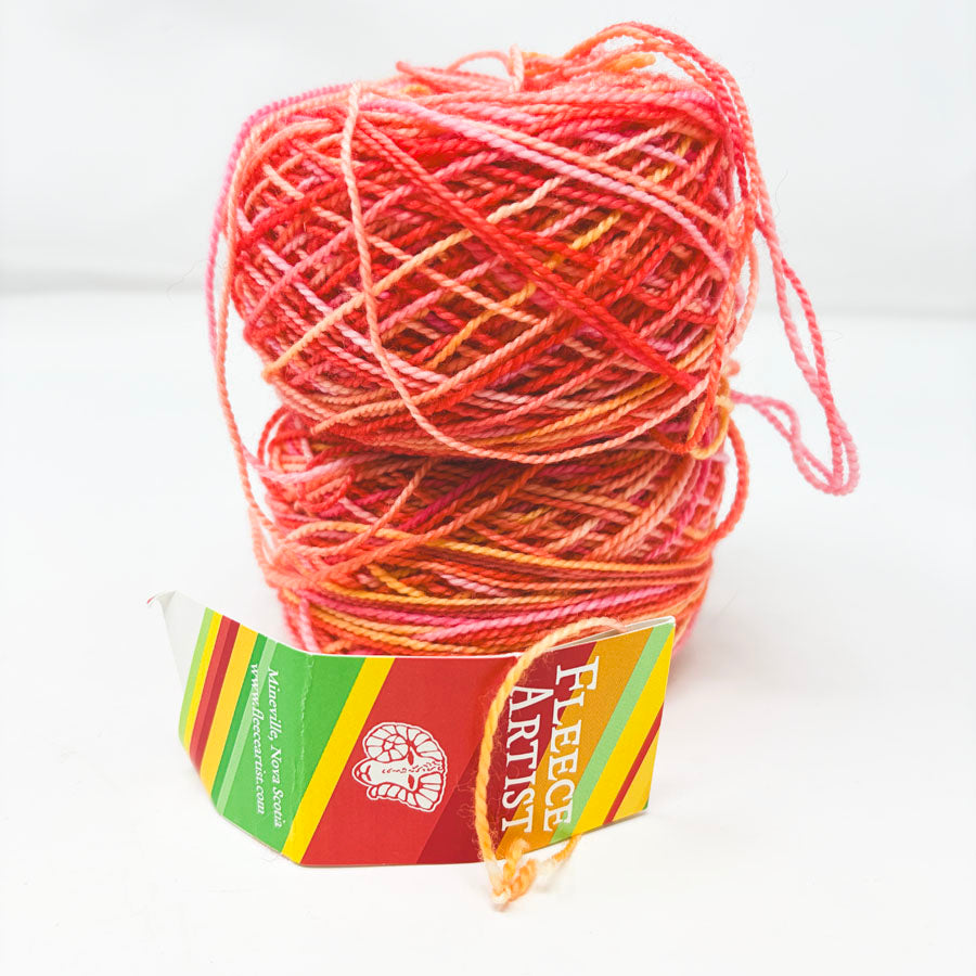 Fleece Artist Wool Yarn - 2 Cakes – Hello Art Hatchery